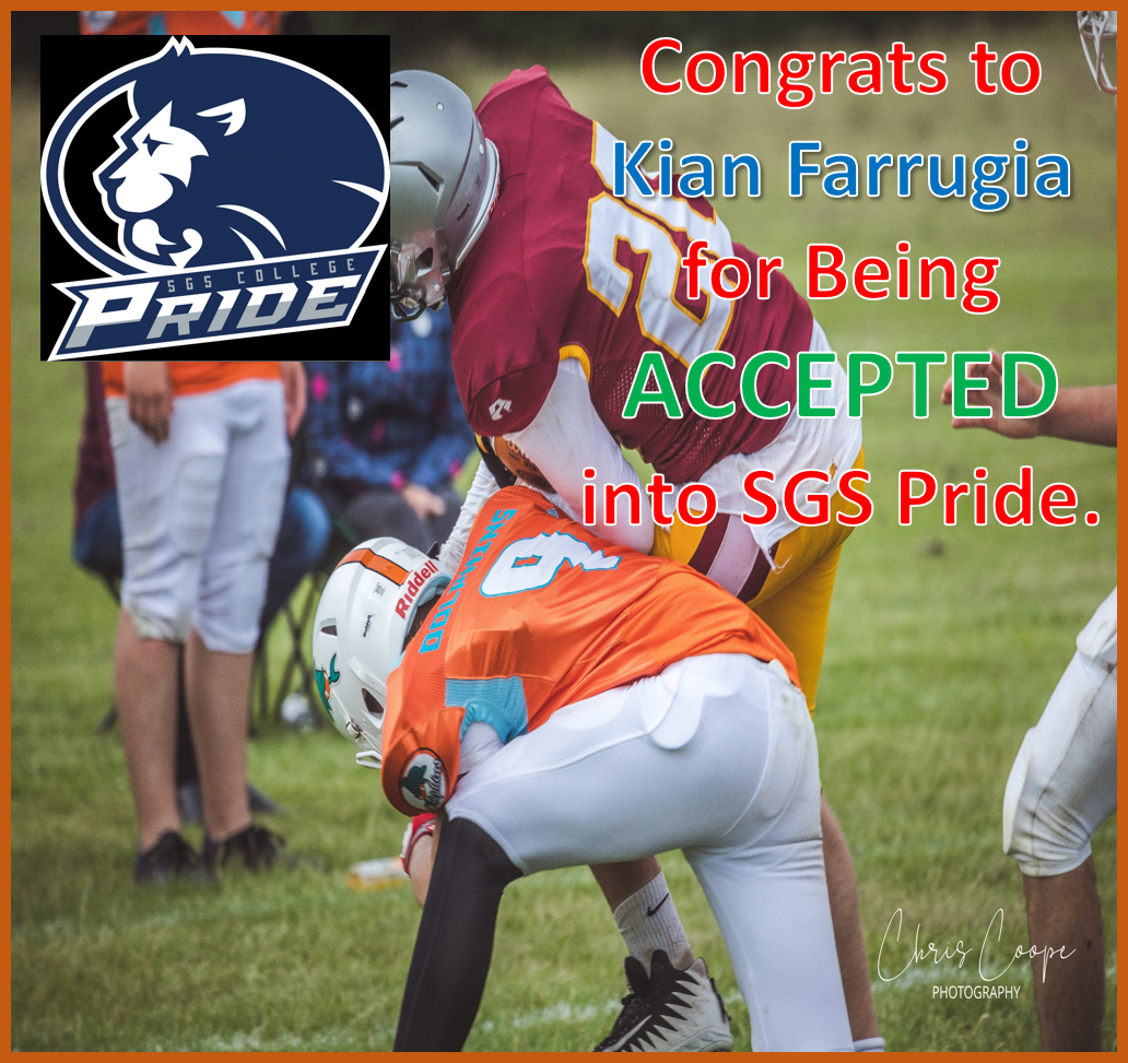 Three Dolphins ACCEPTED into SGS PRIDE – Poole Dolphins